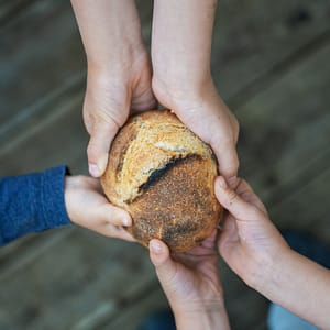 Understanding Hunger in South Florida: Key Facts and Figures - IFSF ...